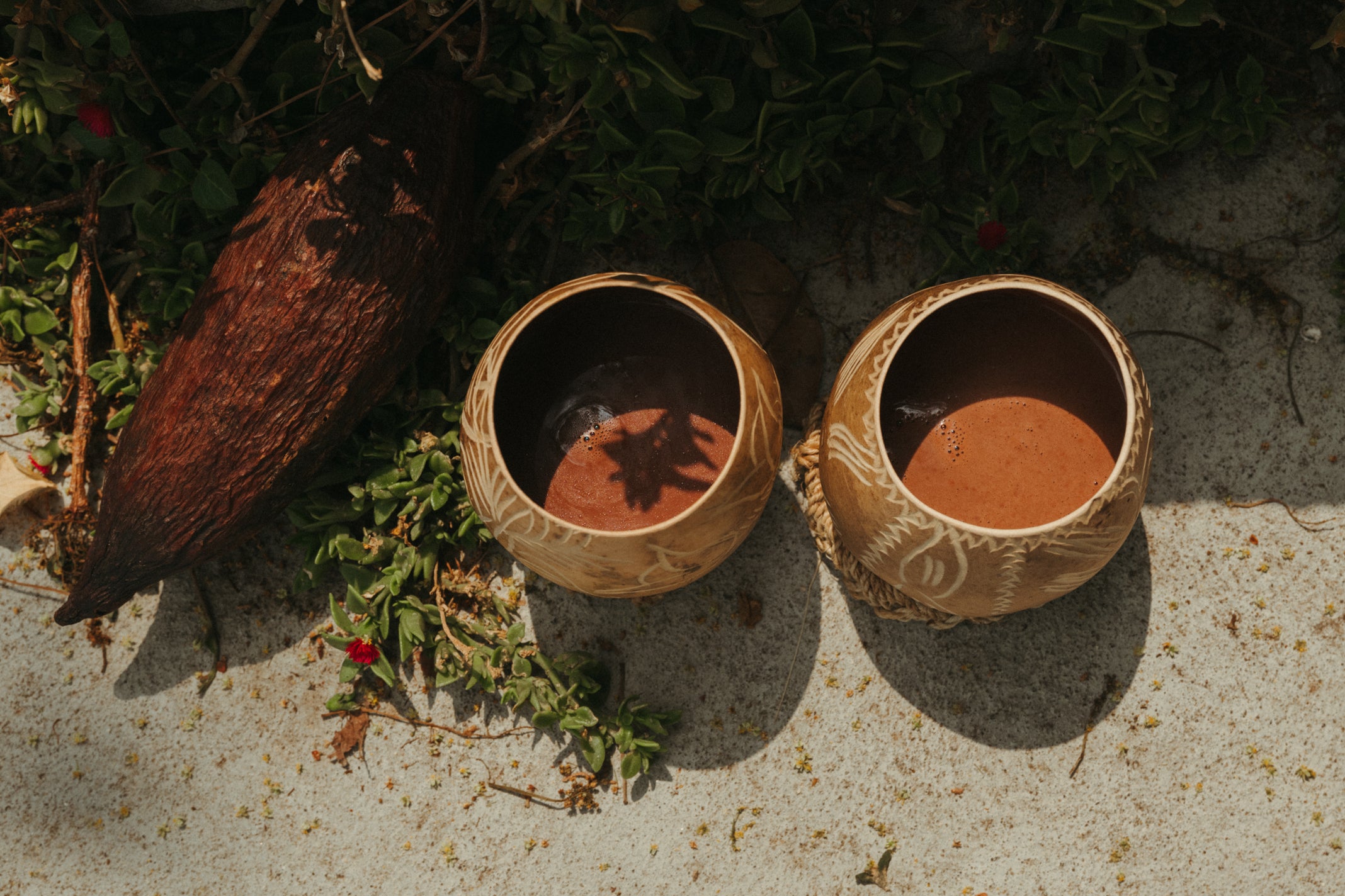 Wild Cacao Collective - Ceremoniell Kakao